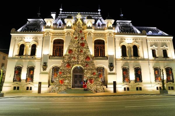 Alea Central Studio Art Museum - Craiova