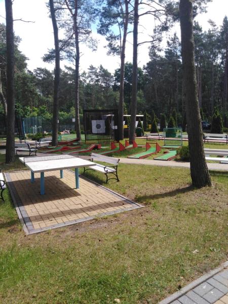 Alga Activ - Dźwirzyno