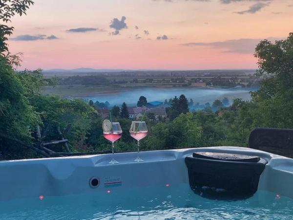 Secluded Family Friendly House Draz, Baranja - 15893 - Kroatien