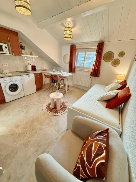 Duplex Agafay 4 Couchages Centre Piéton Thonon - Lake Geneva