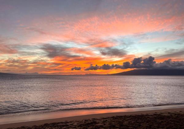 Kbm Resorts Free Car Maui Kaanapali Villas Renovated Studio Near Beach Central Ac Mkv-b247 - Maui
