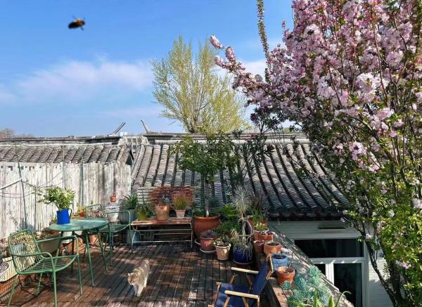 Peking Garden Siheyuan Boutique Hotel-forbidden City&beihai Park&historic Hutong-traditionnal Yard&sunshine Terrace&tea House&home Kitchen - Peking