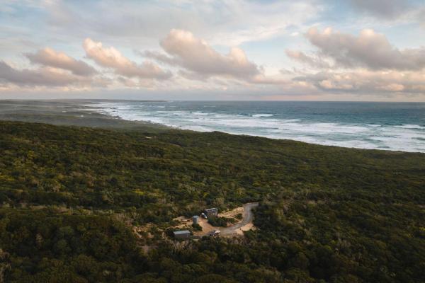 Tiny Rupetta - King Island