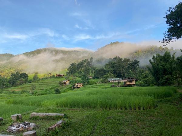 Pang Ma - O Rice Terrace นาขั้นบันไดบ้านปางมะโอ - Chiang Mai