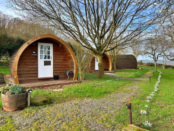Scotch Pine Glamping Pod - Forest of Dean