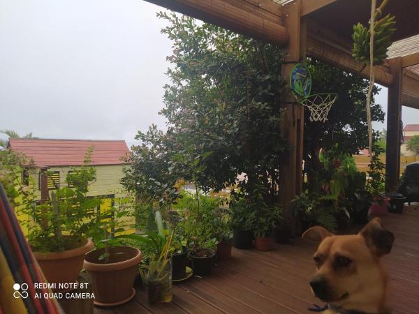 Charmante Maison, Prête à L'accueil, à Mi-hauteur - Réunion
