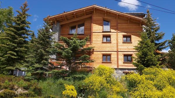 Prestigious Chalet For 18 Guests, Pool & Jacuzzi, Close To Slopes And Resort Center - Monginevro