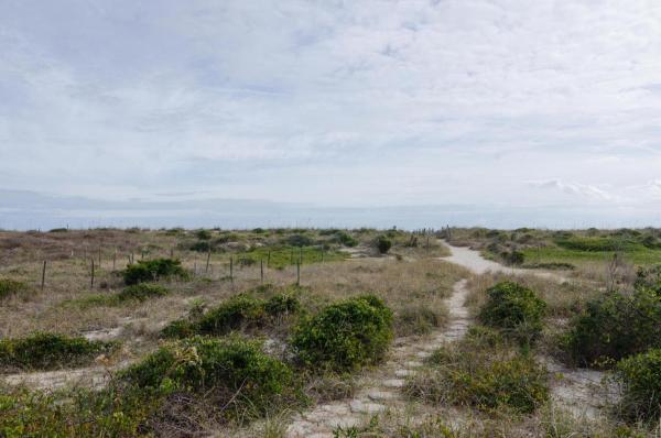 Spalt By Bryant Real Estate - Wrightsville Beach, NC