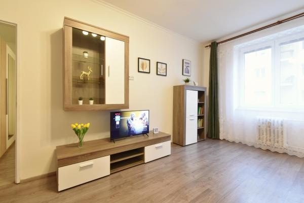 Karlsbad City Apartment - Karlovy Vary