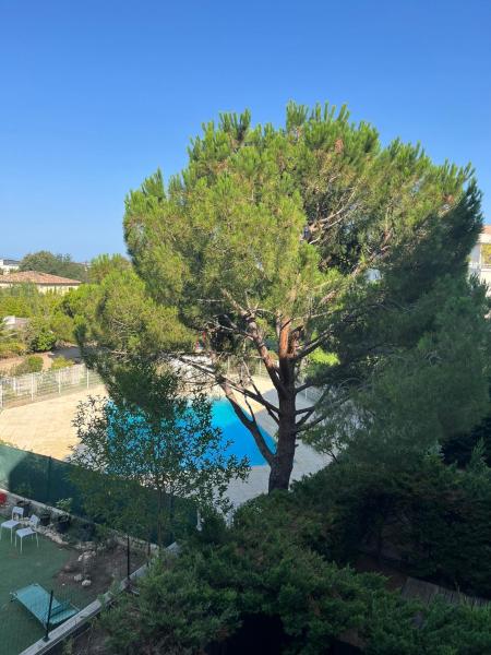 Appartement T2, 55m2, Meublé, Piscine - Marsiglia