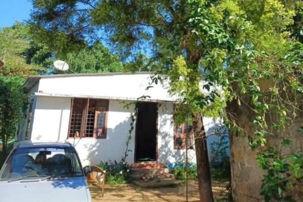 Project Remember By Maanushi Foundation - Thekkady