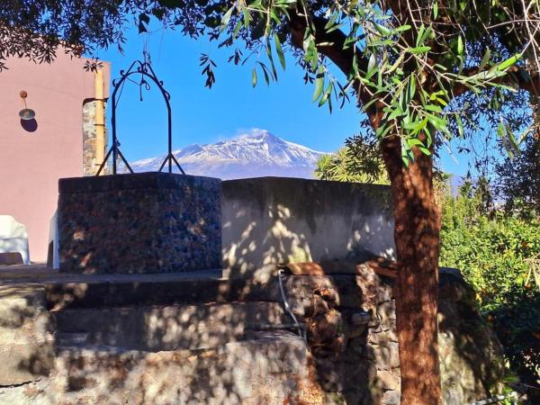 L'aranceto - Acireale
