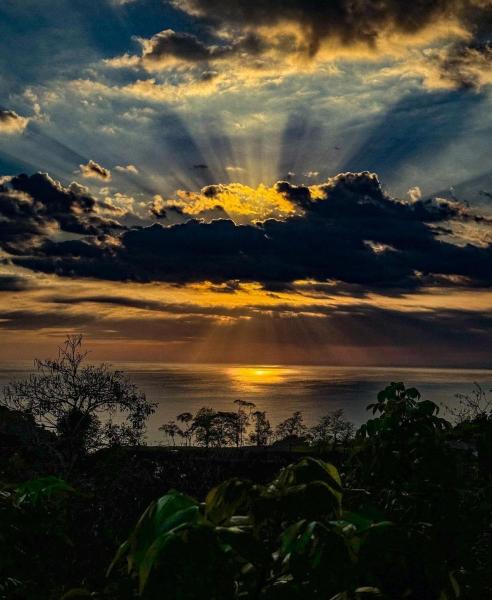 Pura Natura Lodge Manuel Antonio - Costa Rica