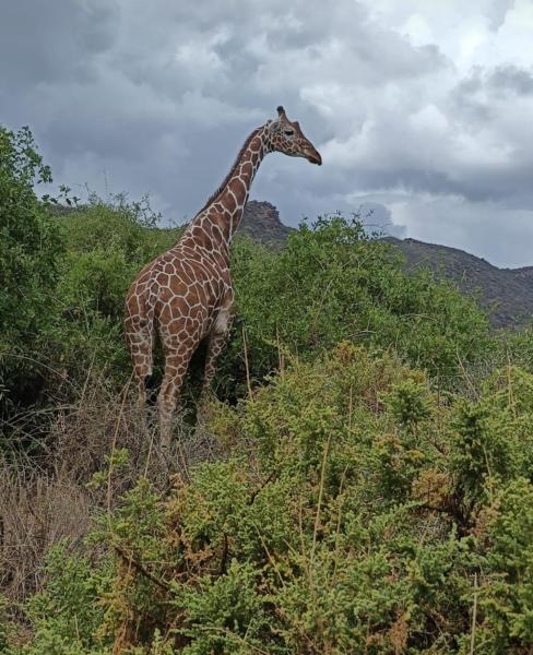 Rangelands Camp - Nairobi