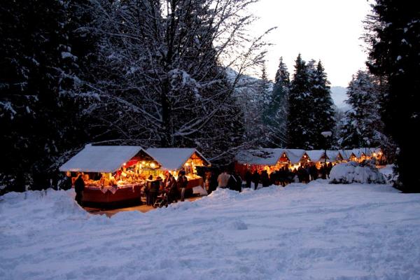 Nature Bio Hotel Elite - Lavarone