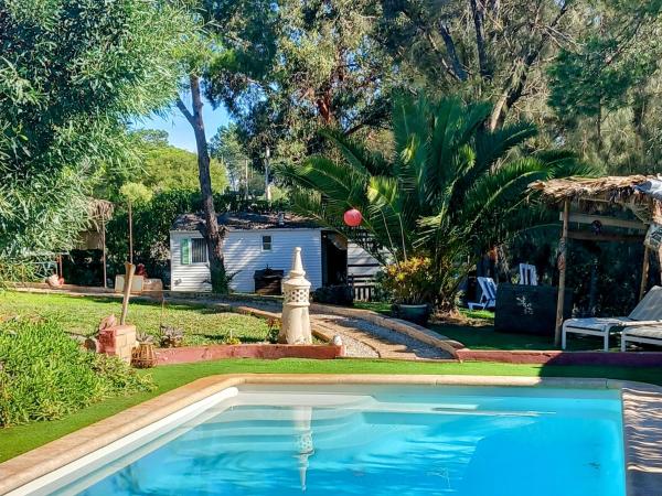 Koala Valdareina, Piscine Chauffée, Bénagil-carvoeiro - Lagoa