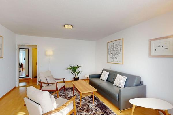 Executive 2br Apt Near Lake And City Center - Dufour 4 - Winterthur
