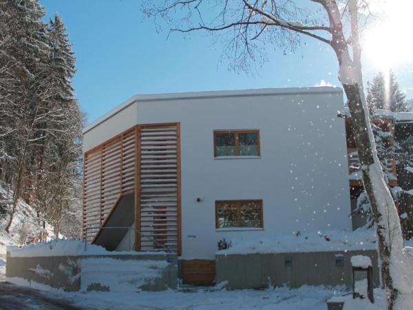 Kitz Apartments Top 1 - Kitzbühel