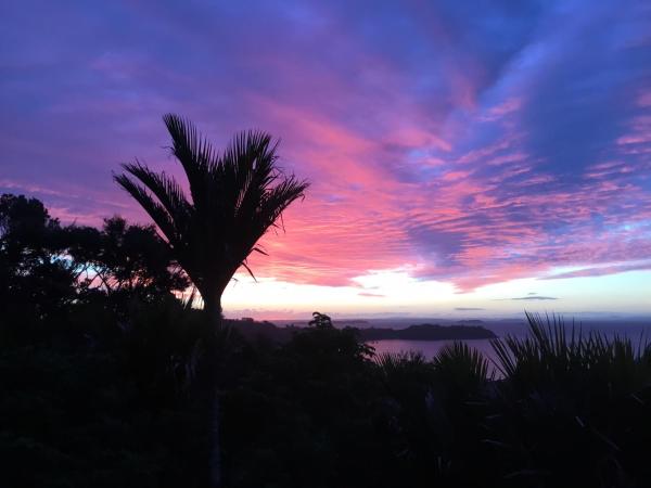 The Nikau Loft - Waiheke Island