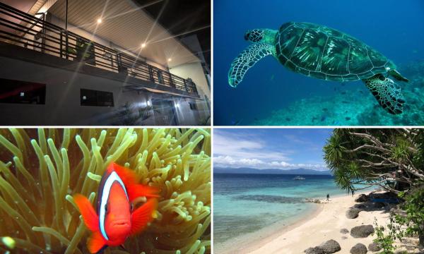 Tipolo Guesthouse - Moalboal