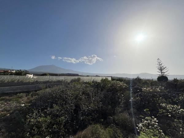 Casa Mannheim - España