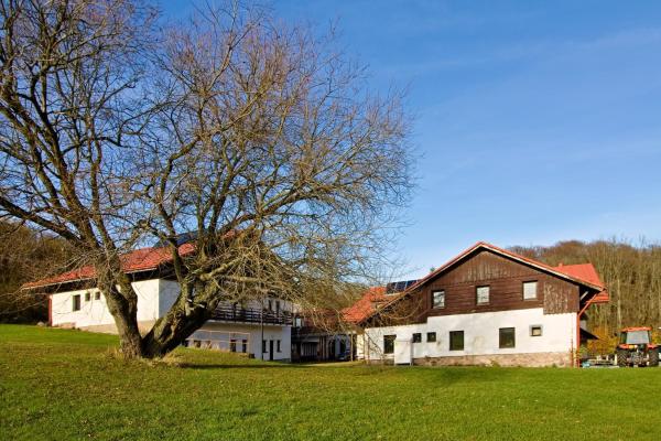 Penzion Hradek - Kudowa-Zdrój