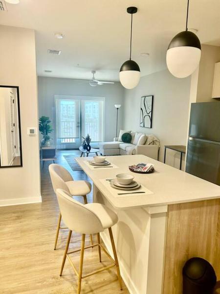 Cozy Modern 1 Bedroom Apartment - United States