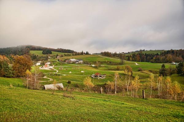 Farm Stay Ana - Eslovenia