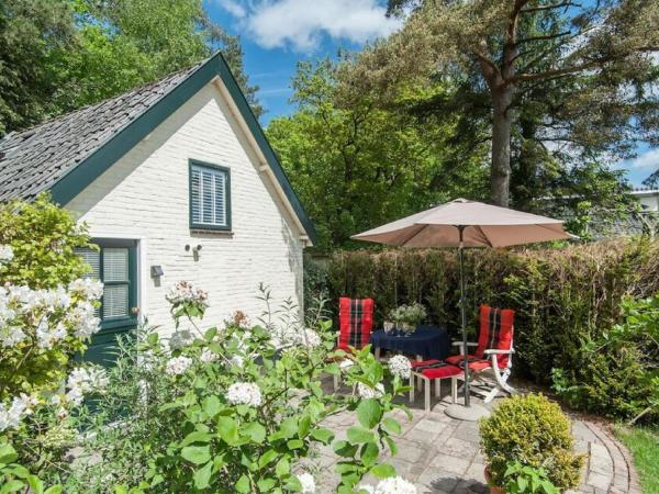 Kleine Nachtegaal - Schoorl