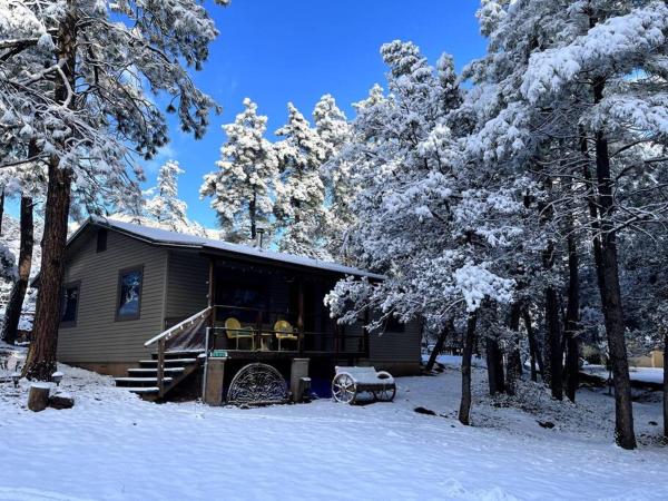 Peaceful Pine Place Cabin - Pine, AZ