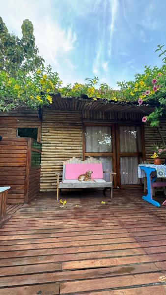 Laguna Rosa Glamping - Coveñas