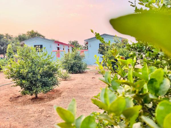 Jaipur Eco Village - Jaipur