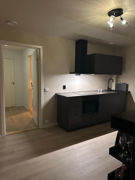 Northern Lights Studio - Tromsø