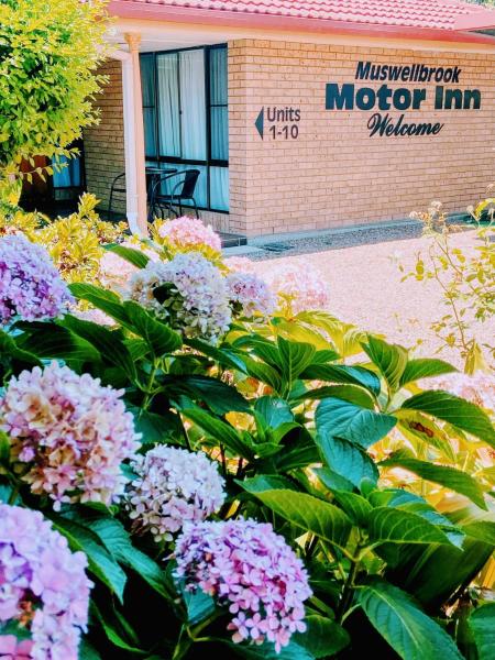 Muswellbrook Motor Inn - Muswellbrook