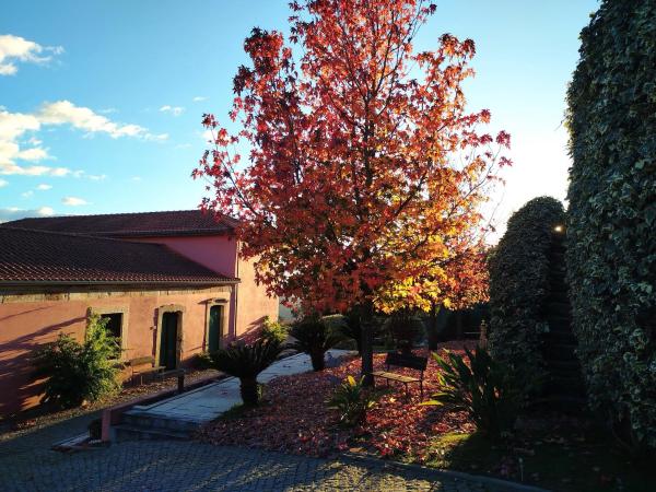 Quinta De Baixo - Lamego