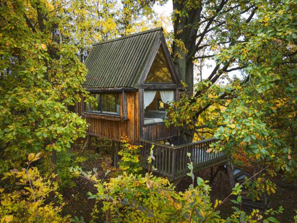Enjoy Cozy Tree House Hills Forest Gardens Beautiful Views Sauna Hotbath - Olbersdorf