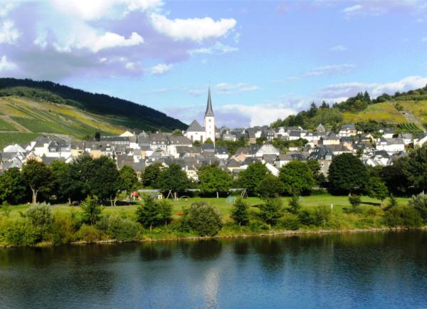 Ferienanlage - Am Moselufer - Bullay