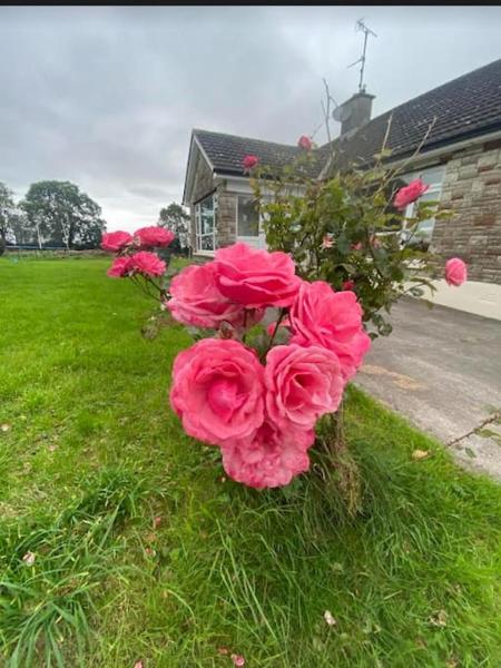 Sheelin Side House - Ierland