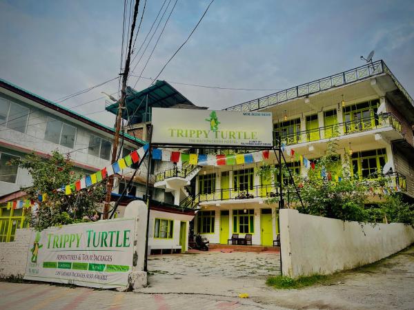 Trippy Turtle Hostel - Manali