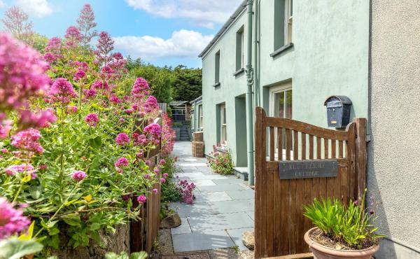 Blueberry Cottage - Solva