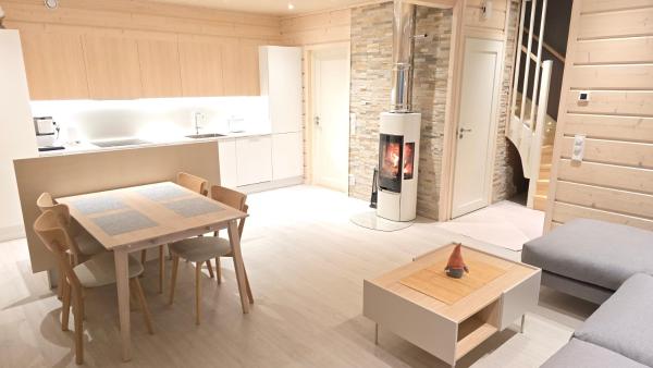Elves Eco Design House A - Rovaniemi