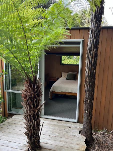 Punga Cabin - Whitianga