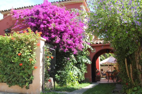 El Arbol Hostel - La Serena