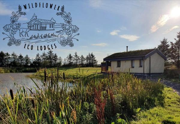 Wildflower Eco Lodges - Aberdeenshire