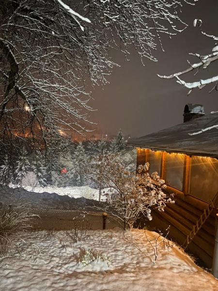 Басейн з підігрівом! Batkivska Svitlitsa New Без господарів - Ukraine