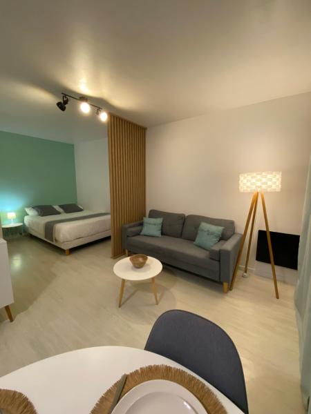 Le Girouard - City Center - Private Parking - Wifi, Netflix - Poitiers