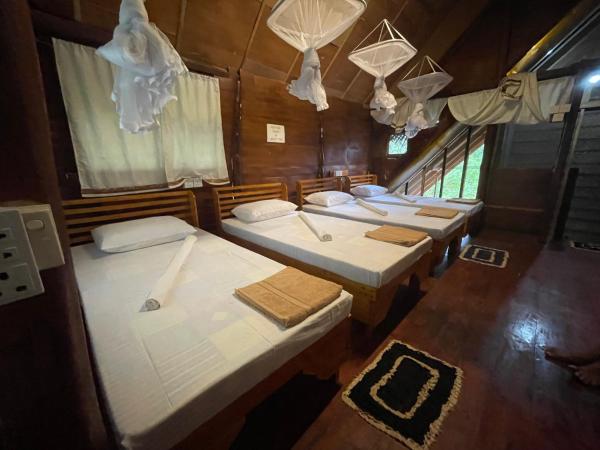 Sigiriya Coconut Shade Hostel - Sri Lanka