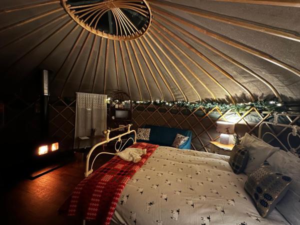 Sunbank Yurt - Llangollen