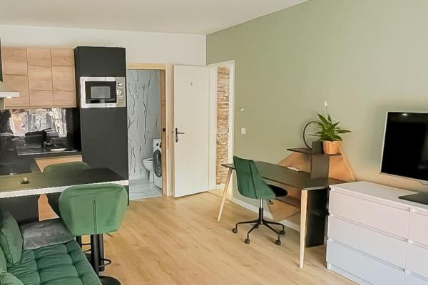 Cosy Appartement Toulouse Center - Blagnac