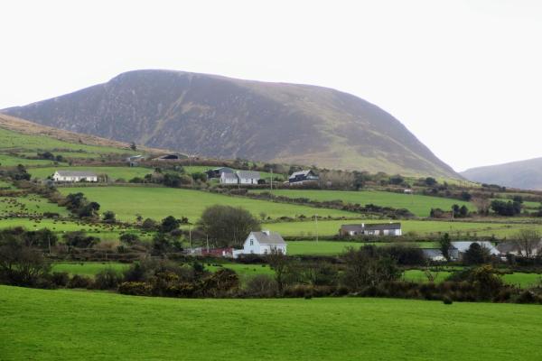 Crios ÓG Brandon View - Dingle